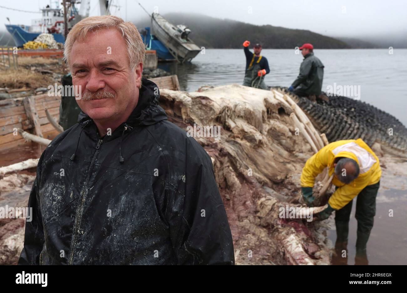 Dr. Mark Engstrom, Senior Curator and Deputy Director of Collections ...