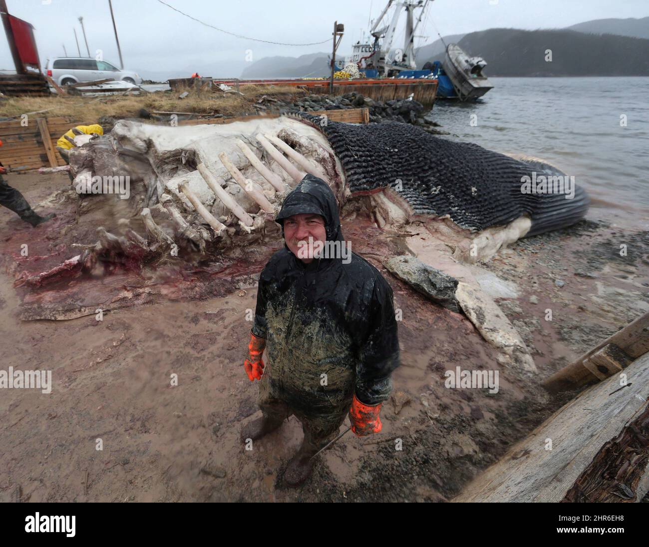 Mark Engstrom, Senior Curator and Deputy Director of Collections and ...