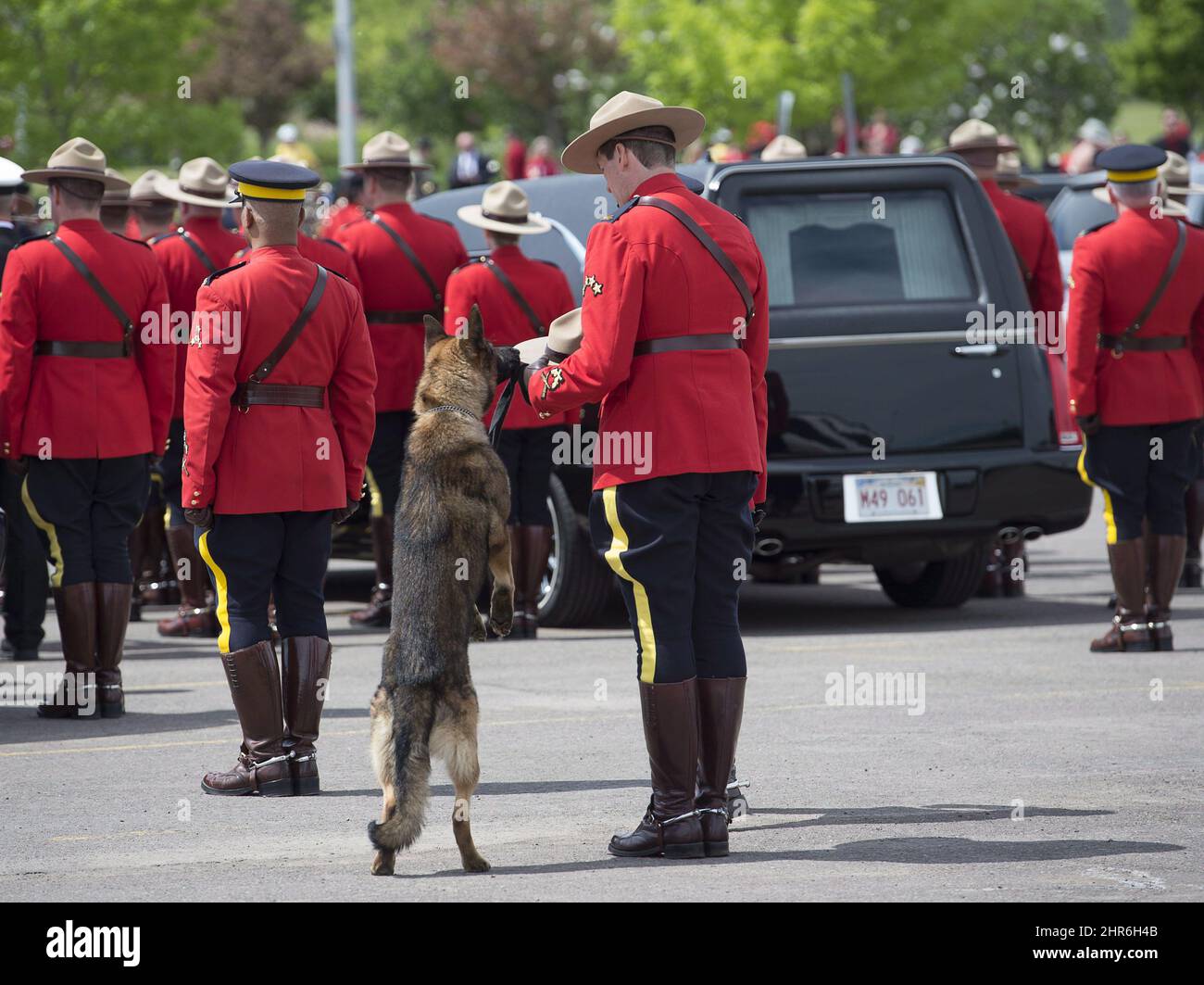 RCMP police dog Danny sniffs the Stetson of his partner, slain Const ...