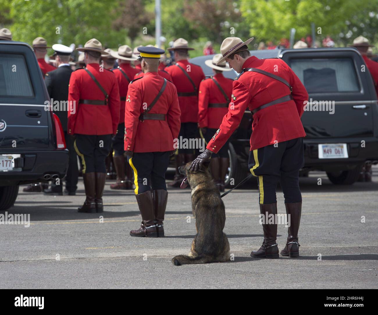 An officer pats Const. David Ross's dog Danny at the funeral procession ...