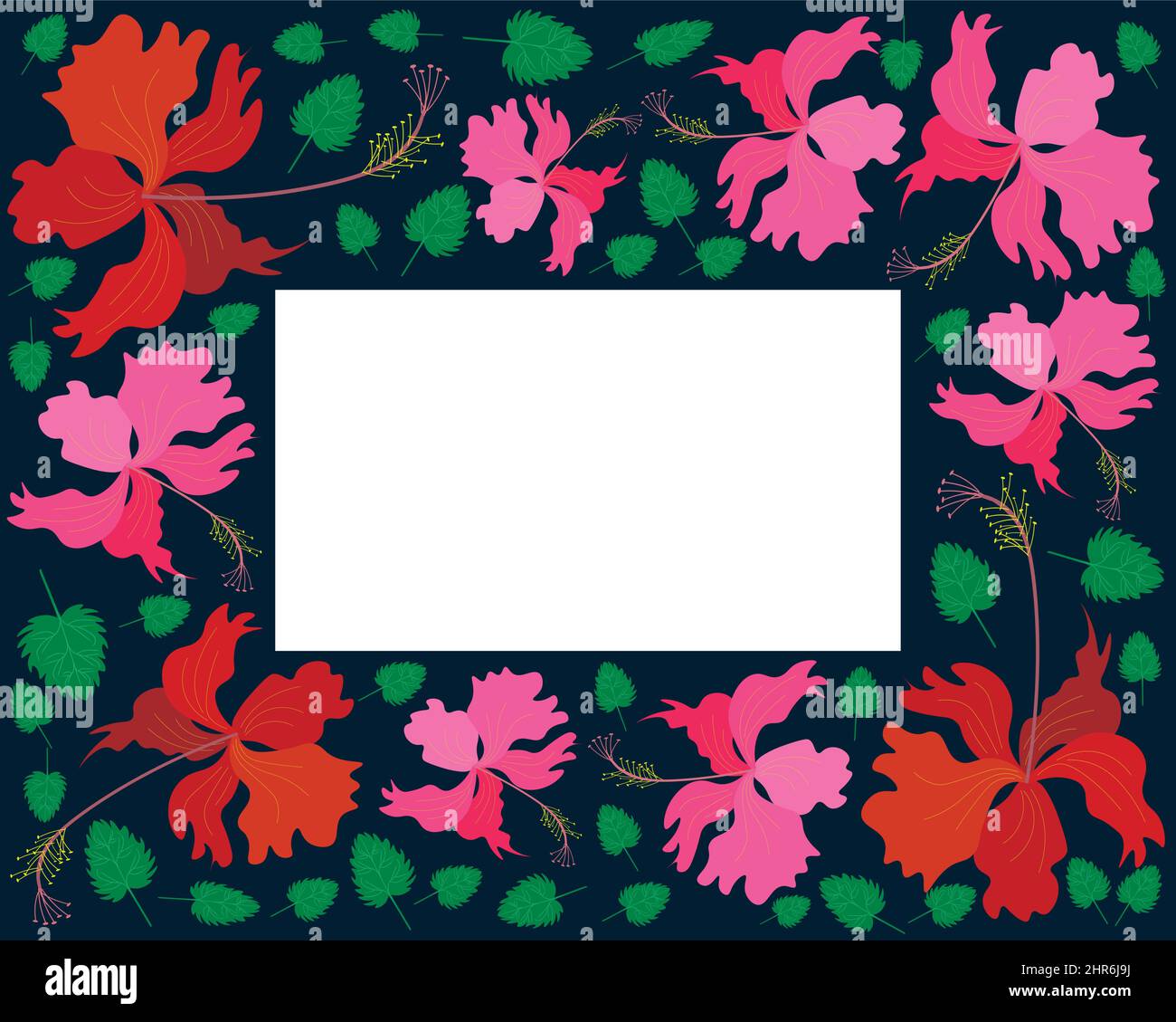 Beautiful Flower, Illustration Frame of Fresh Colorful Hibiscus Flowers ...