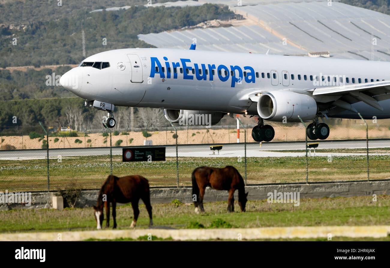 Plane of the company Air Europa landing at the airport of Palma de ...