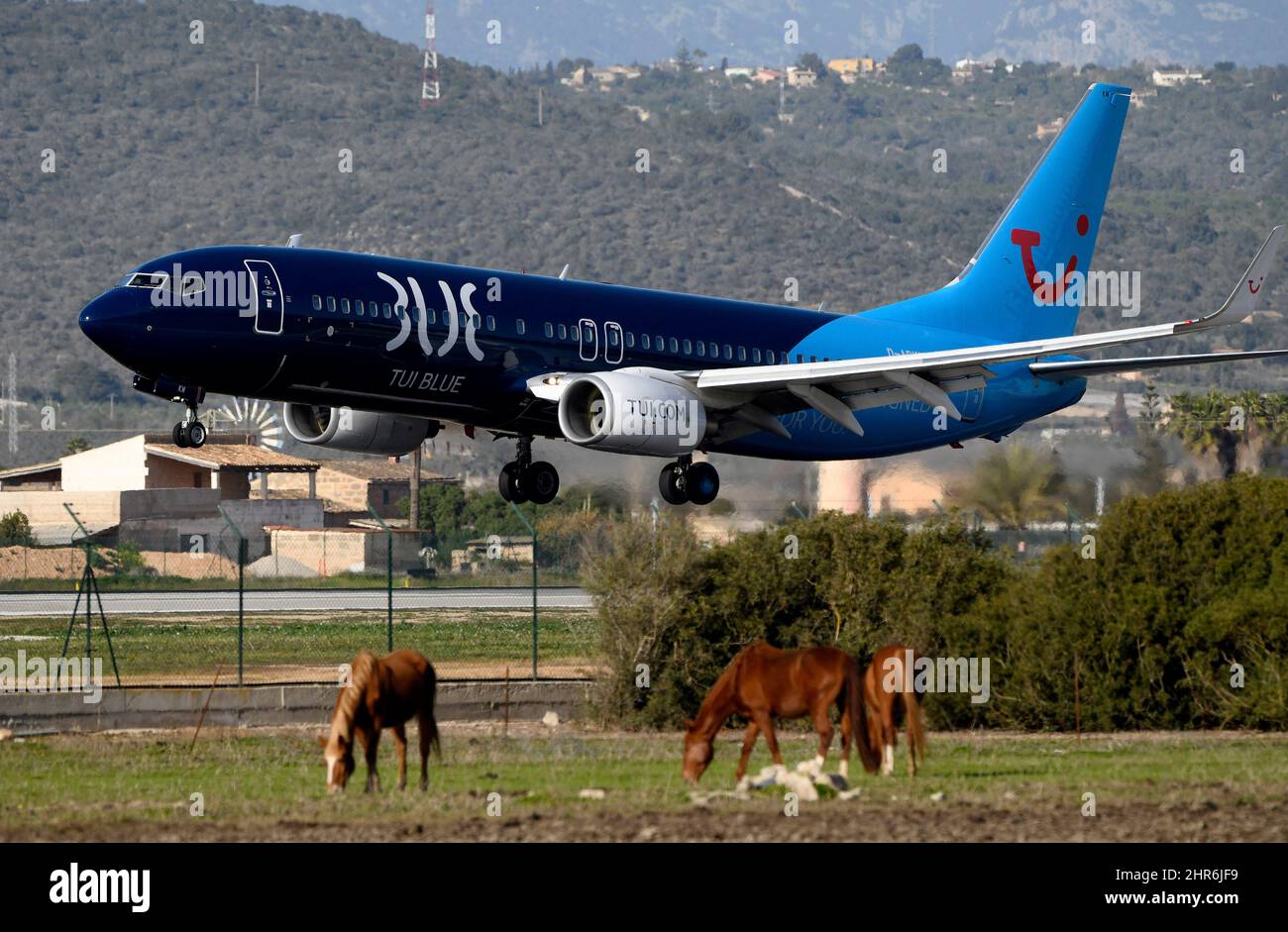 Plane of the company TUI Blue landing at the airport of Palma de ...