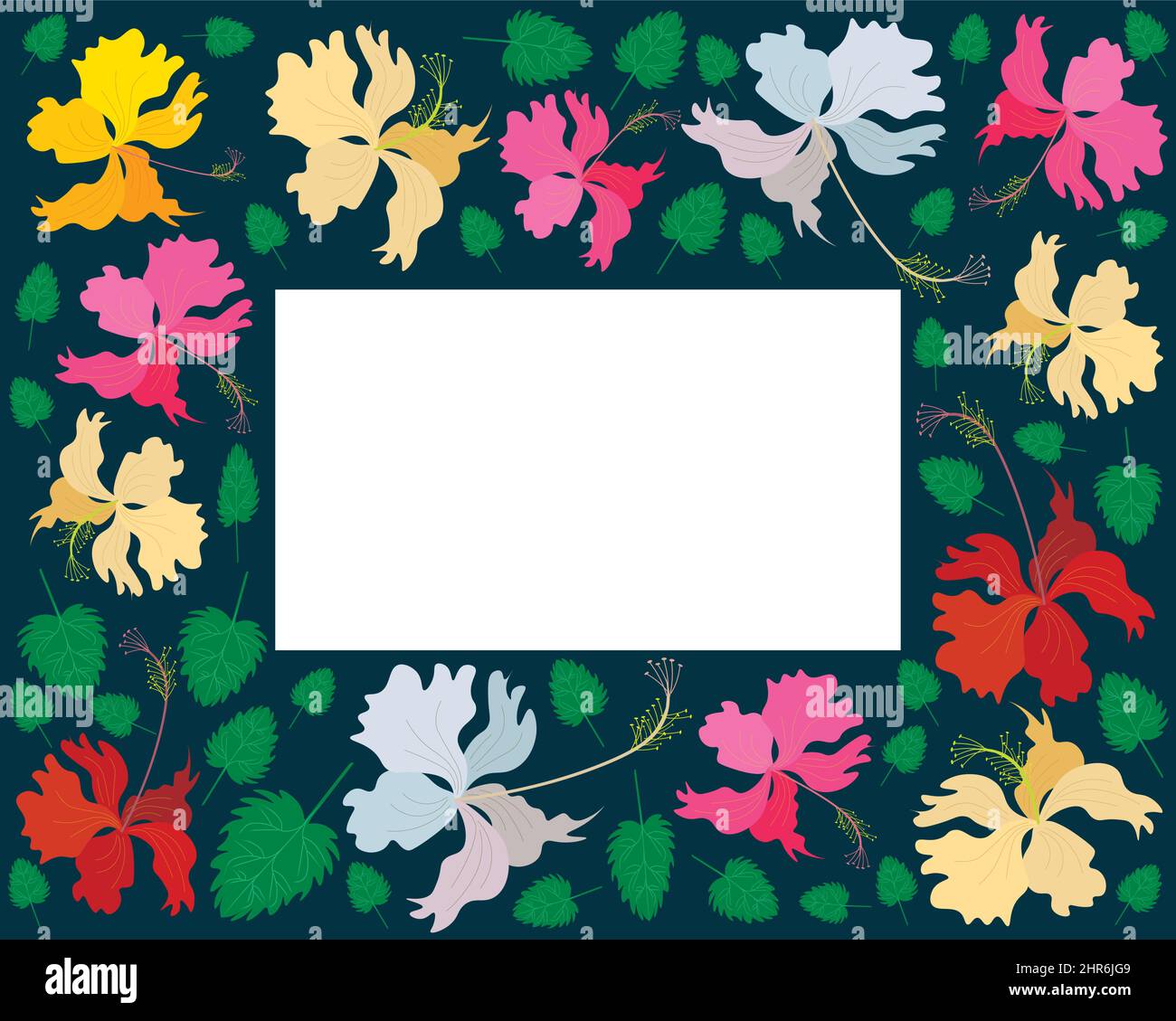 Beautiful Flower, Illustration Frame of Fresh Colorful Hibiscus Flowers ...