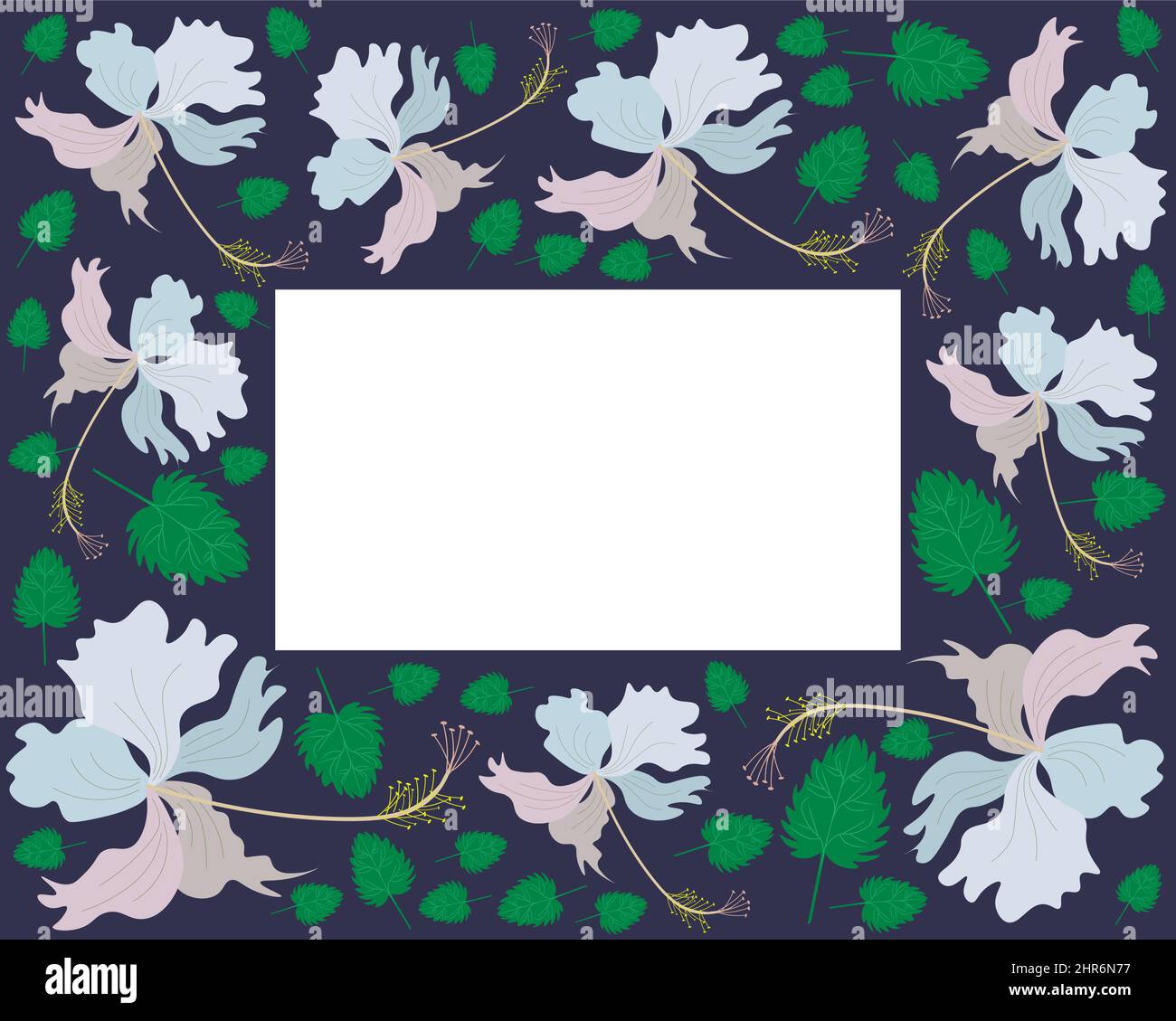 Beautiful Flower, Illustration Frame of Fresh Colorful Hibiscus Flowers ...