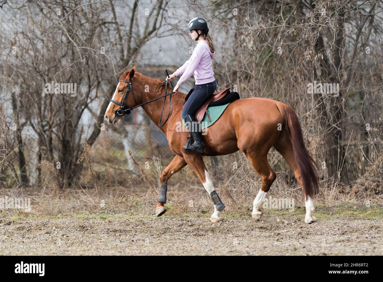 Young pretty girl riding a horse Stock Photo - Alamy