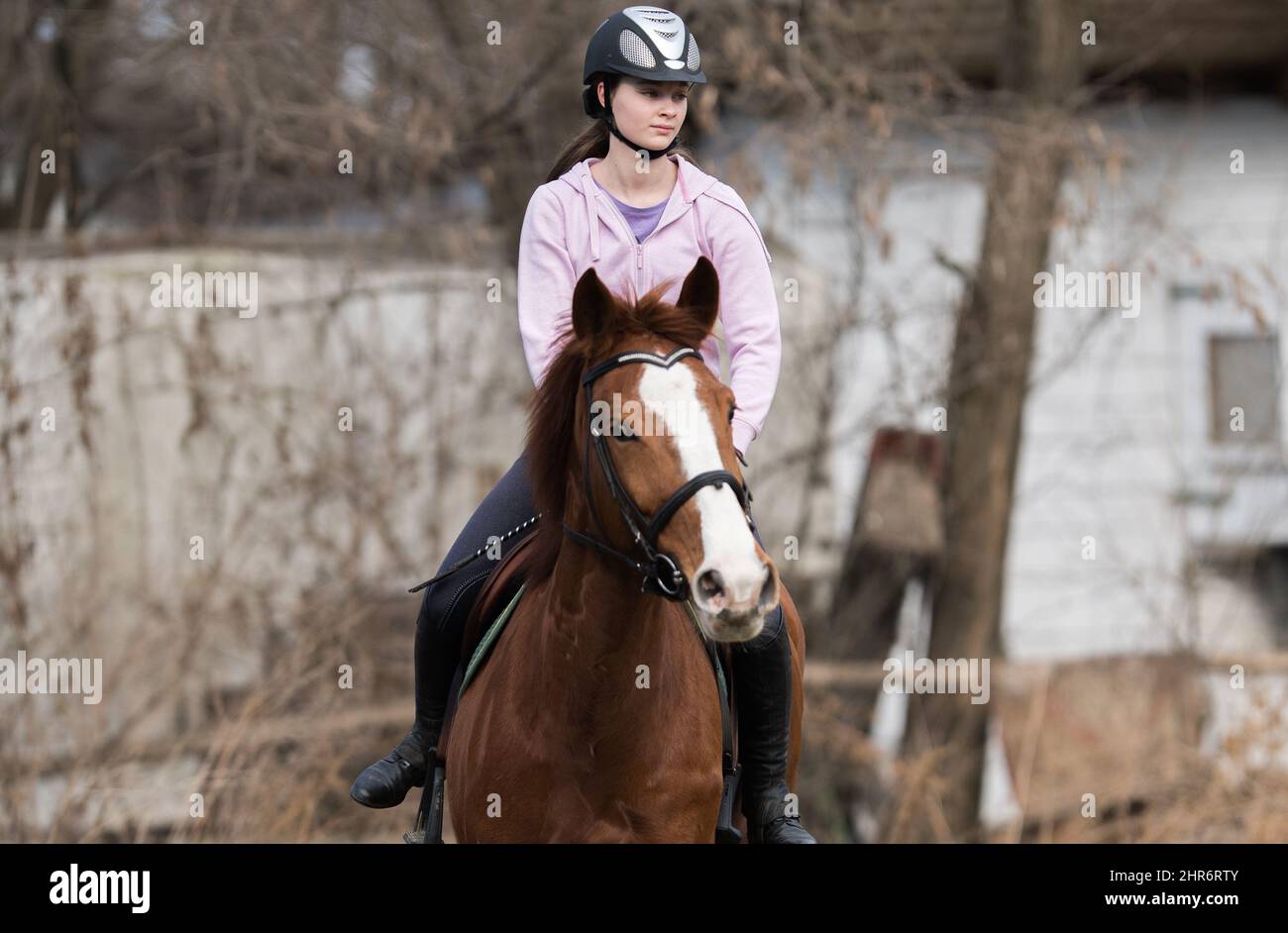 Young pretty girl riding a horse Stock Photo - Alamy