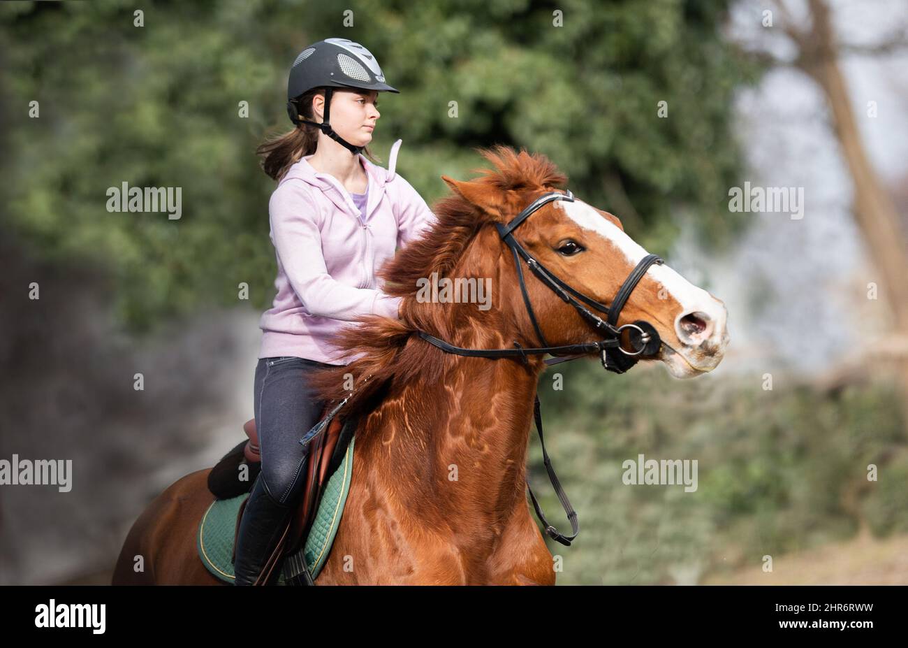 Young pretty girl riding a horse Stock Photo - Alamy