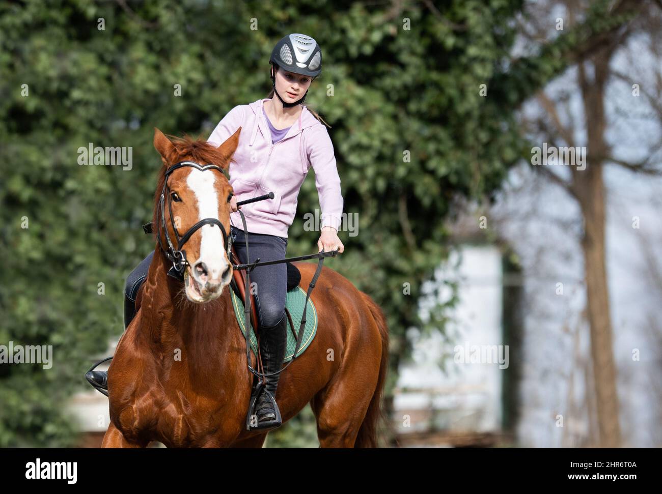 Young pretty girl riding a horse Stock Photo - Alamy