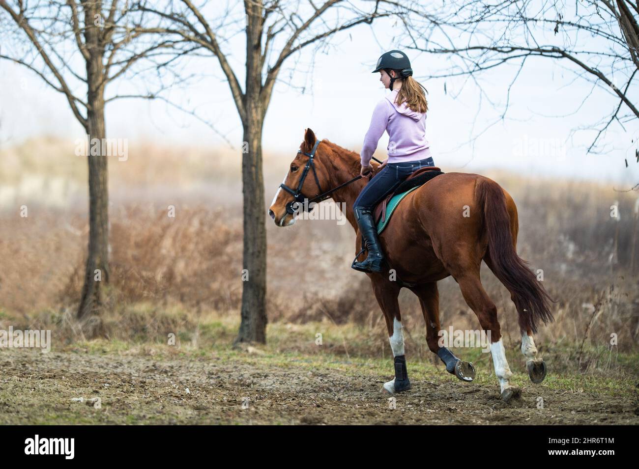 Young pretty girl riding a horse Stock Photo - Alamy