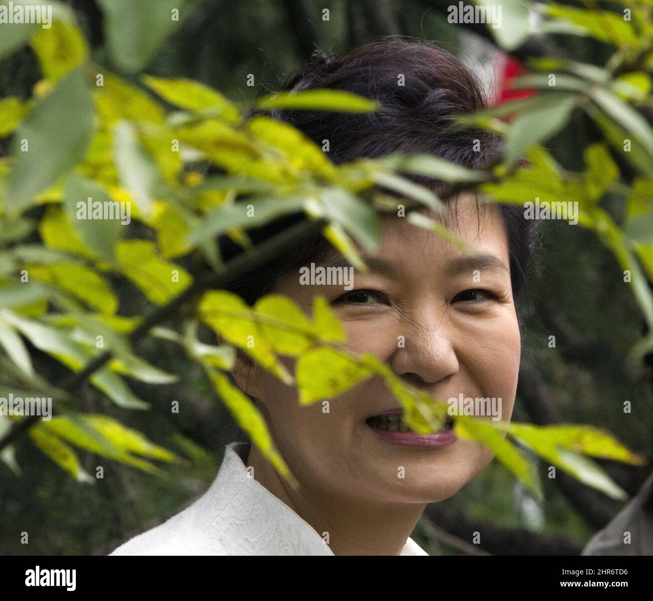 Korean President Park Geun-hye looks through the braches of a tree she ...