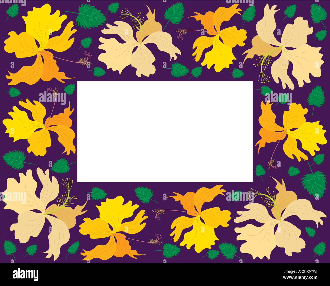 Beautiful Flower, Illustration Frame of Fresh Colorful Hibiscus Flowers ...