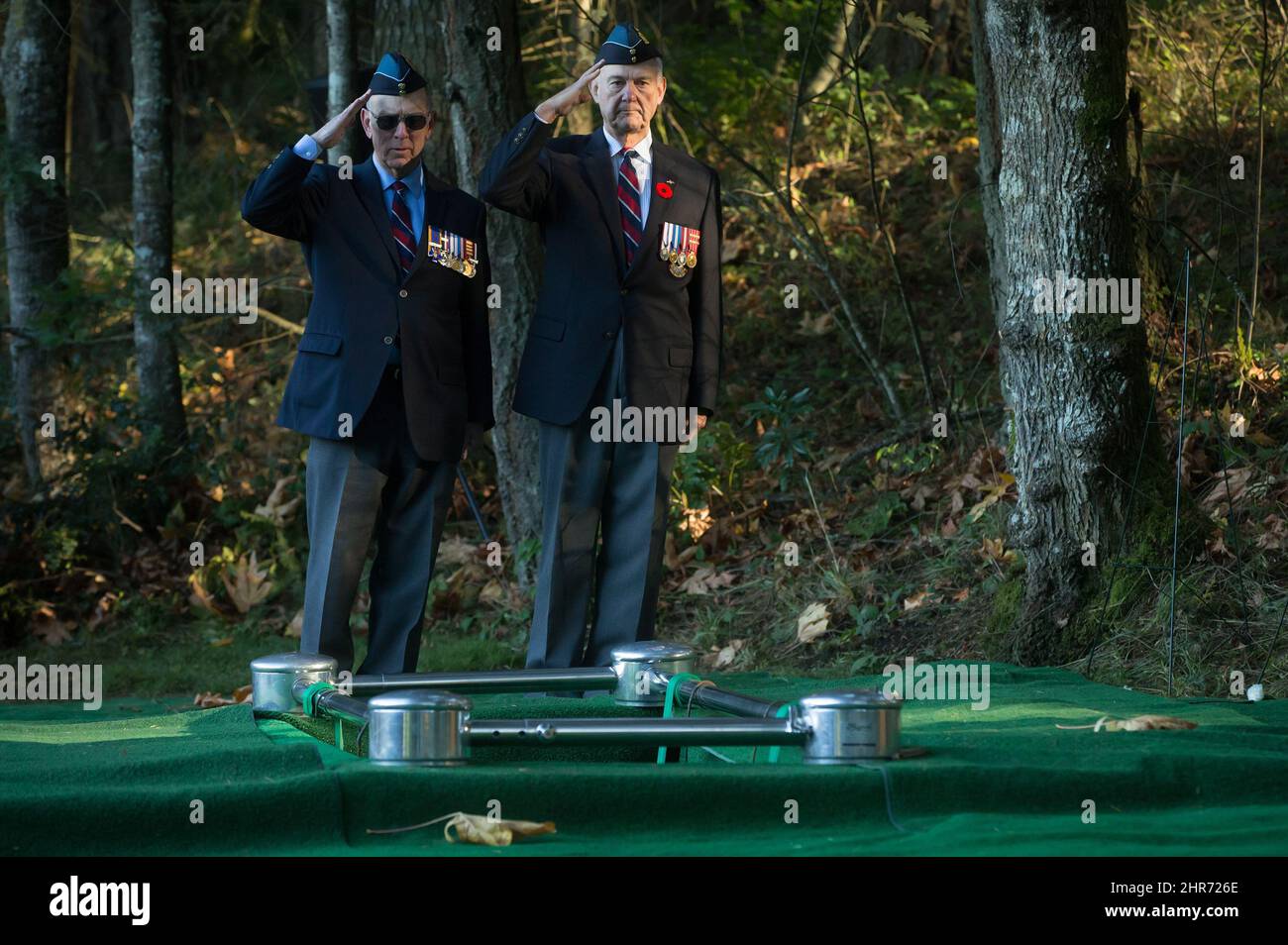 British and military and general salute hi-res stock photography and ...