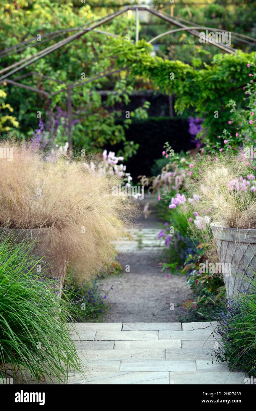 large feature pot,large terracotta feature pot,stipa,miscanthus,grass ...