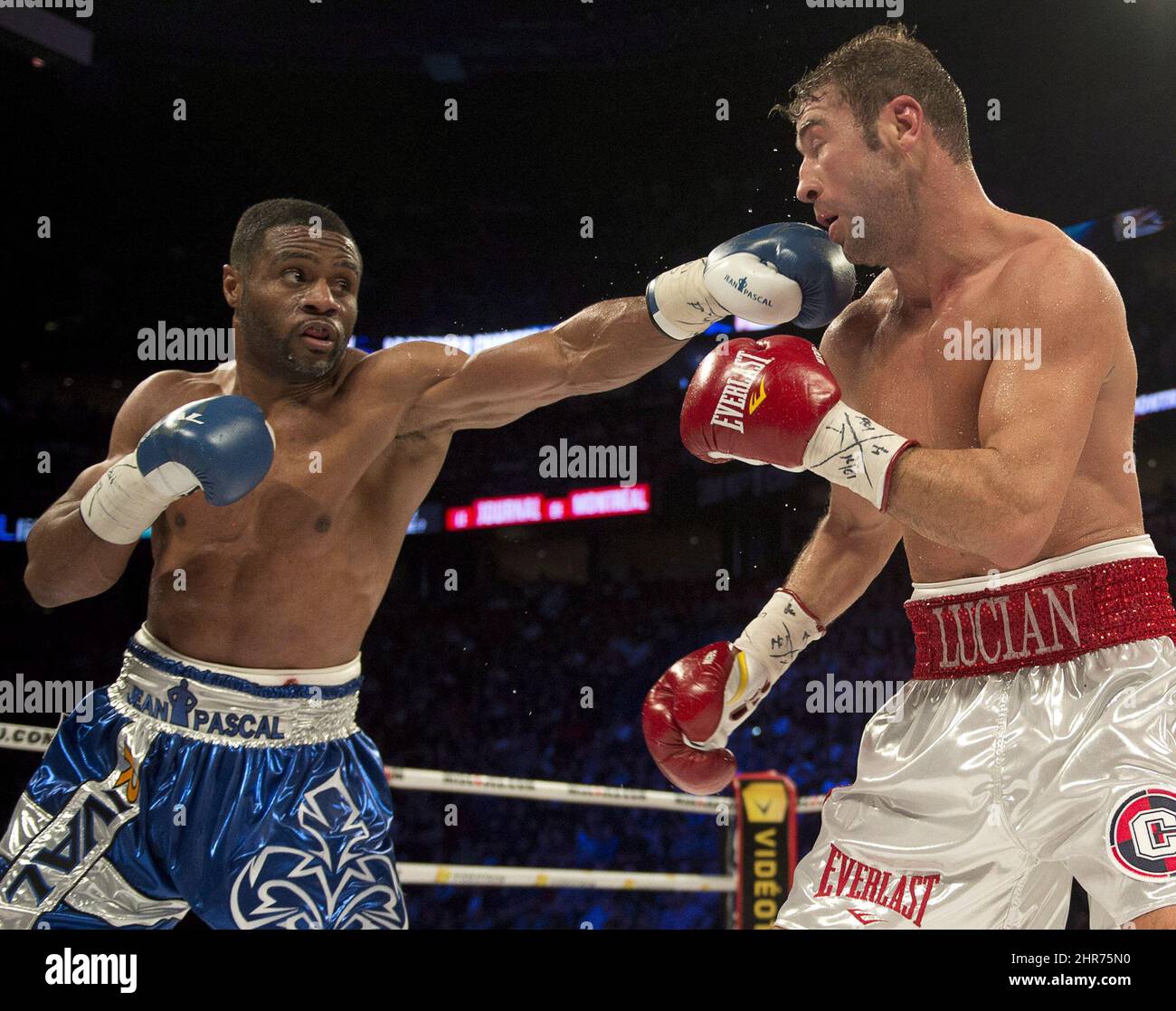 Jean Pascal (left) connects with a left on Lucian Bute during their WBC ...