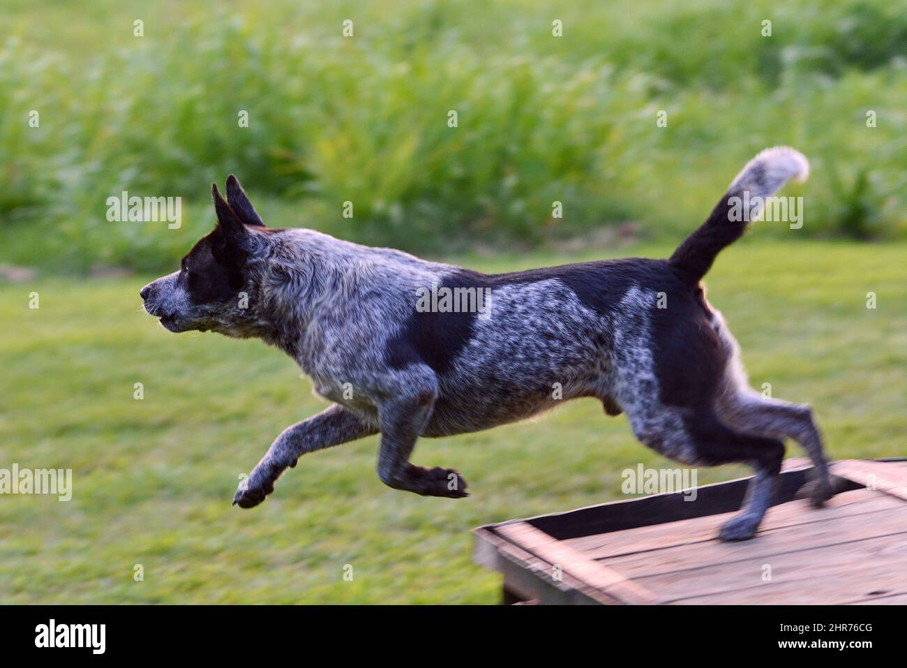 All healer hi-res stock photography and images - Alamy