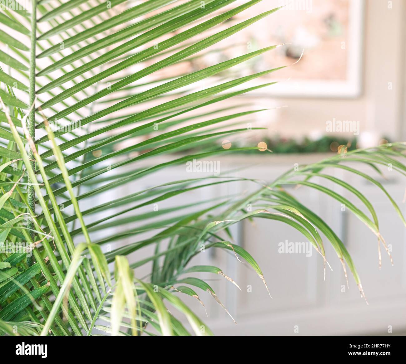 Closeup shot of wedding preparation decorations Stock Photo - Alamy