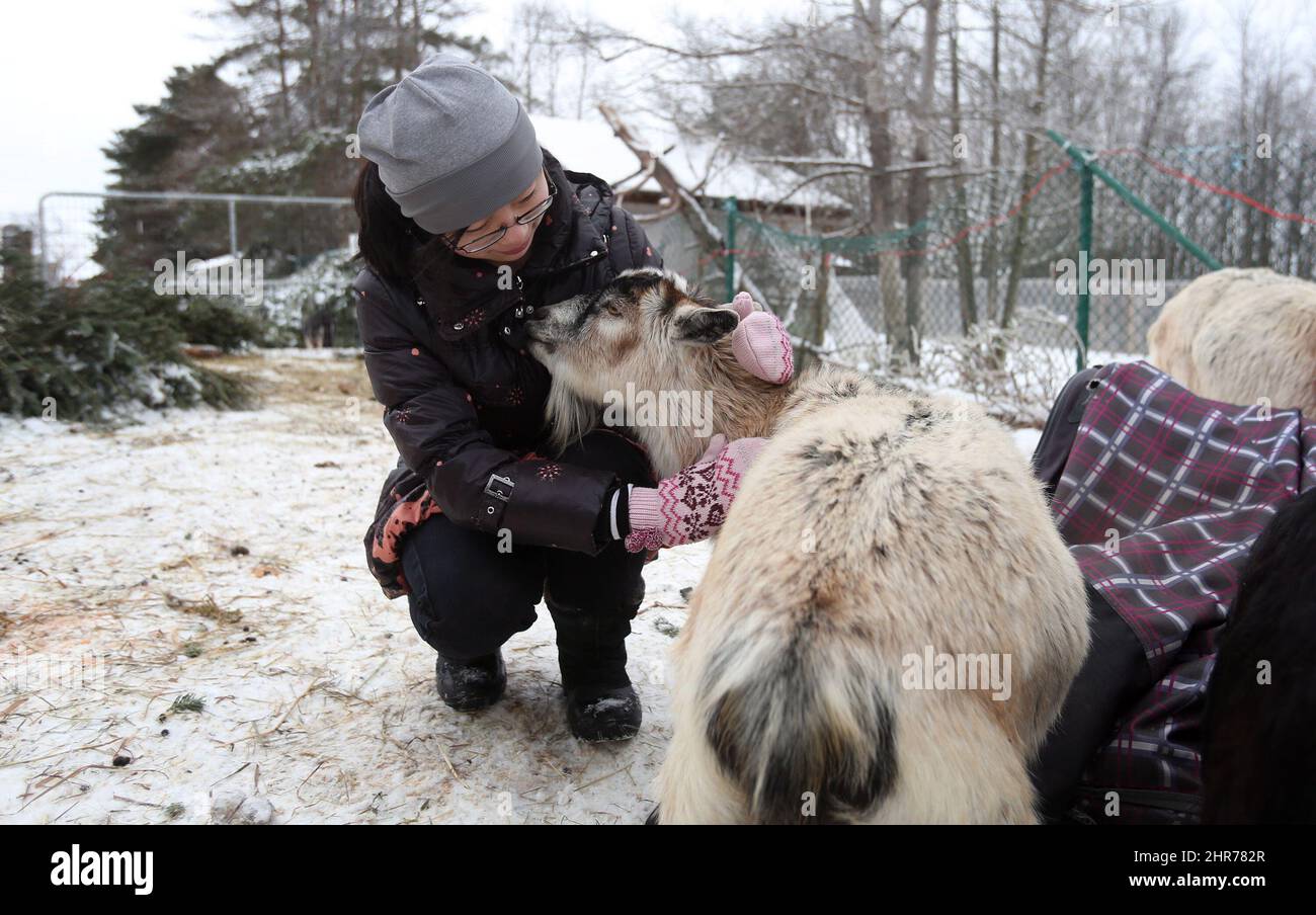 Joanna Li meets with one of the goats at the Constance Creek Wildlife ...