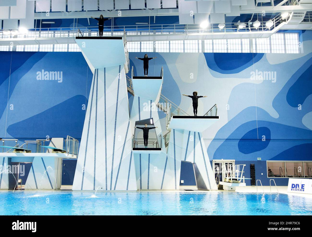 Canadian divers know as the Fab IV, pictured top to bottom, Roseline ...