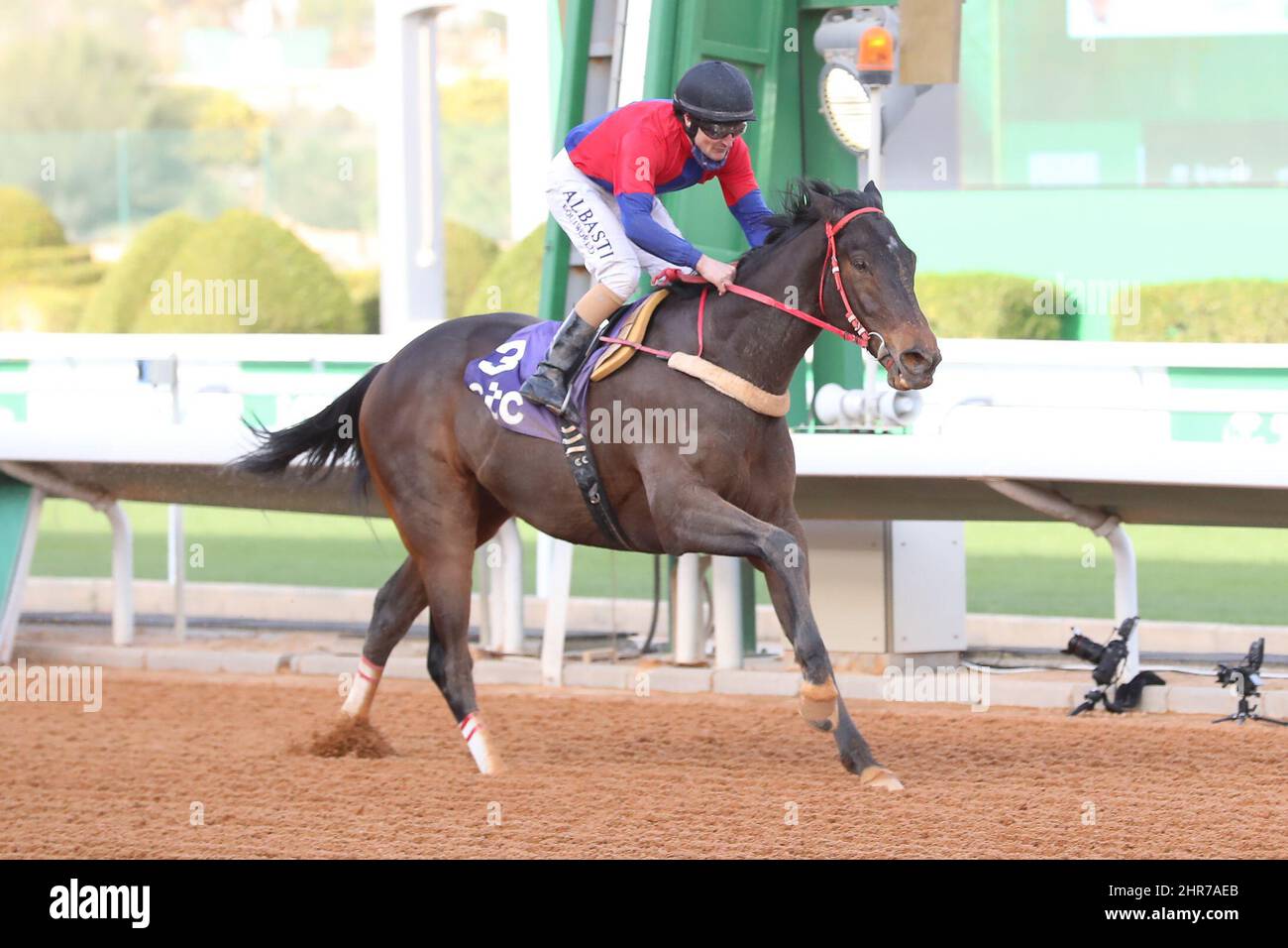 Shane foley jockey hi-res stock photography and images - Alamy