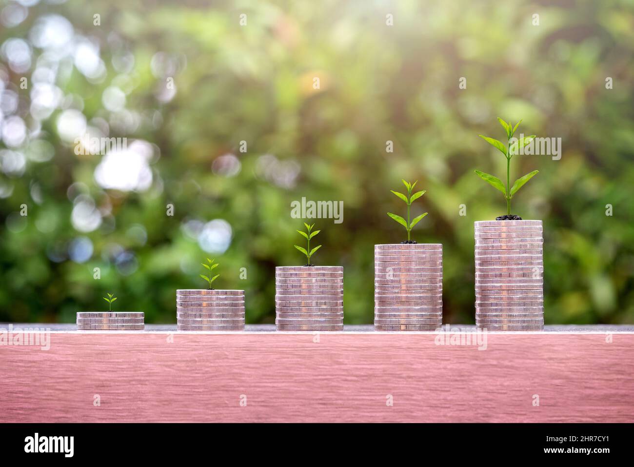 Pension tree hi-res stock photography and images - Alamy