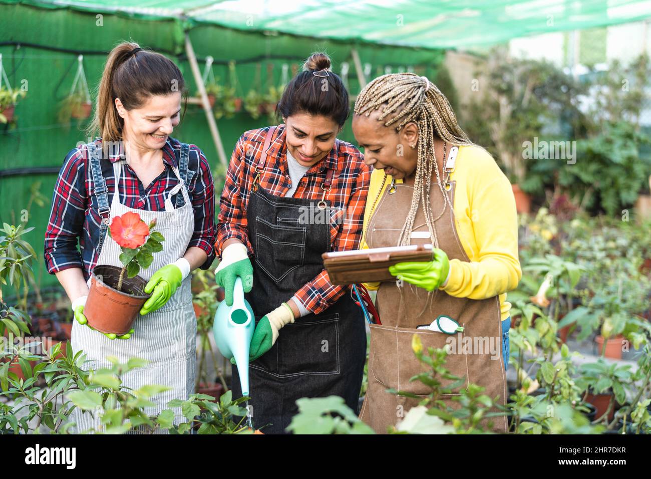 Multiracial order hi-res stock photography and images - Alamy