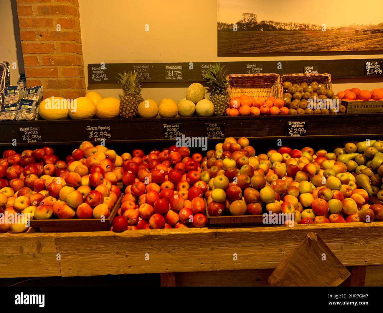 Garden melons mushrooms hi-res stock photography and images - Alamy