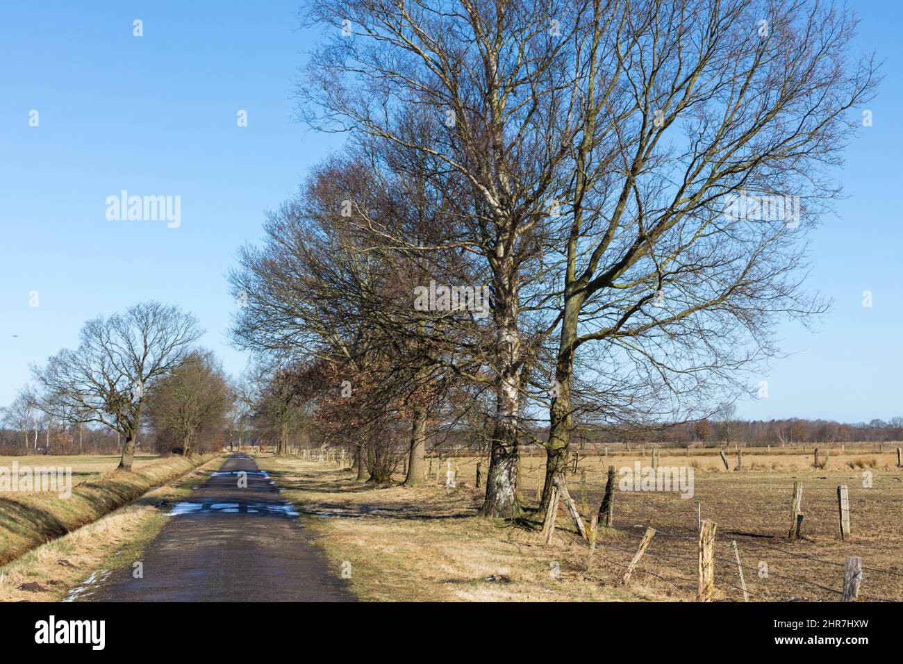 Landscape scenery of countryside road under a blue sky Stock Photo - Alamy