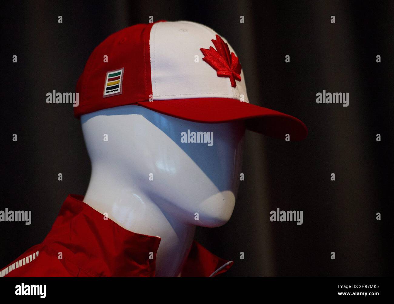 Hudson's Bay Pan Am/Parapan Am Games official team Canada uniforms are ...