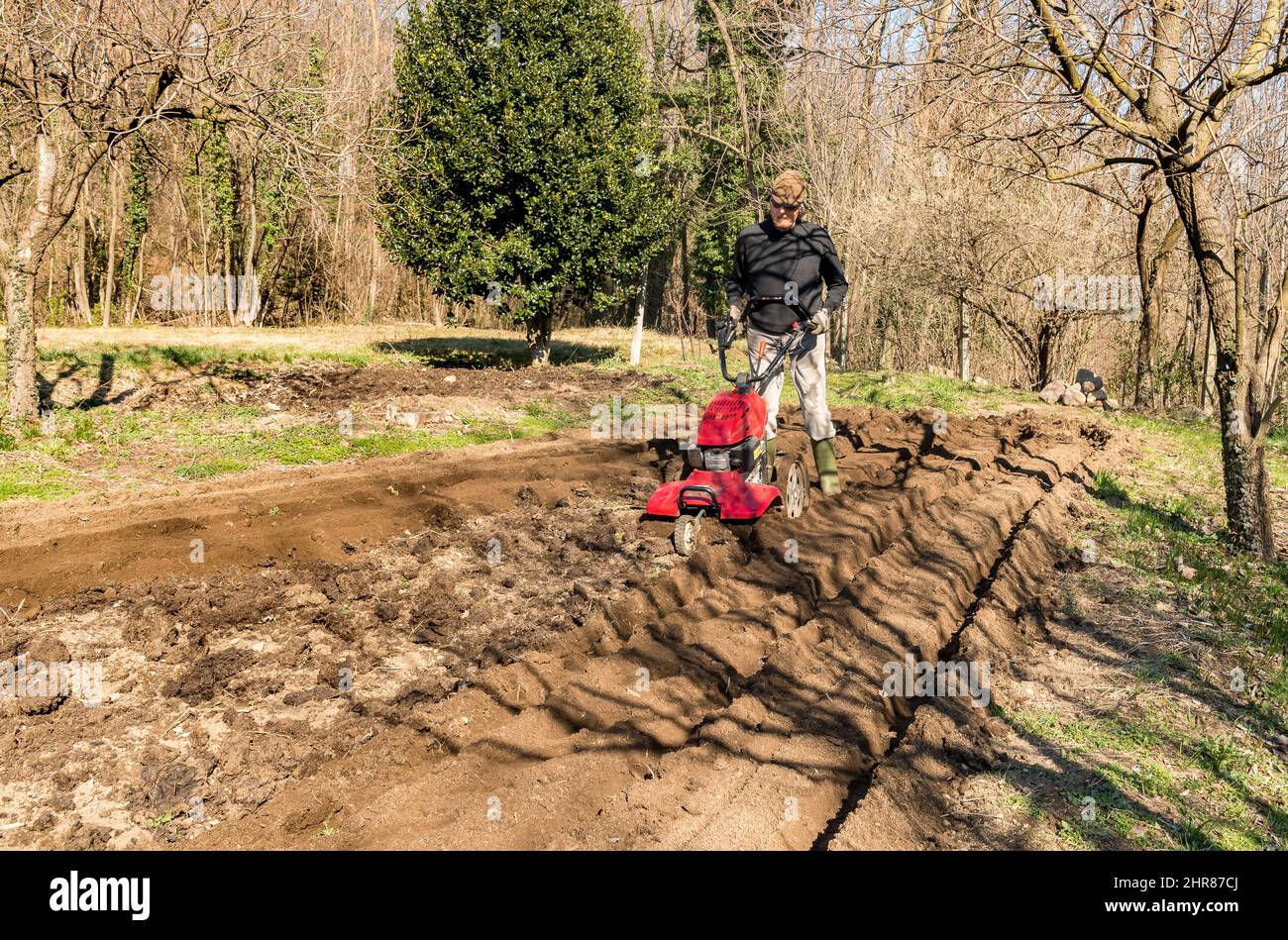 Senior man tilling ground soil with a rototiller in the garden. Spring ...