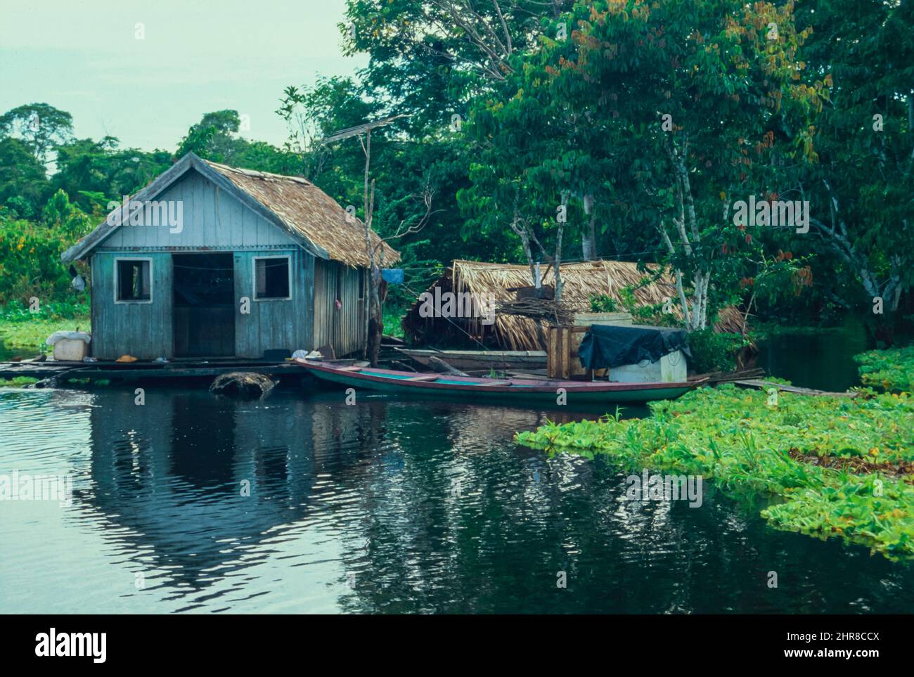 Native hut at amazon river hi-res stock photography and images - Alamy