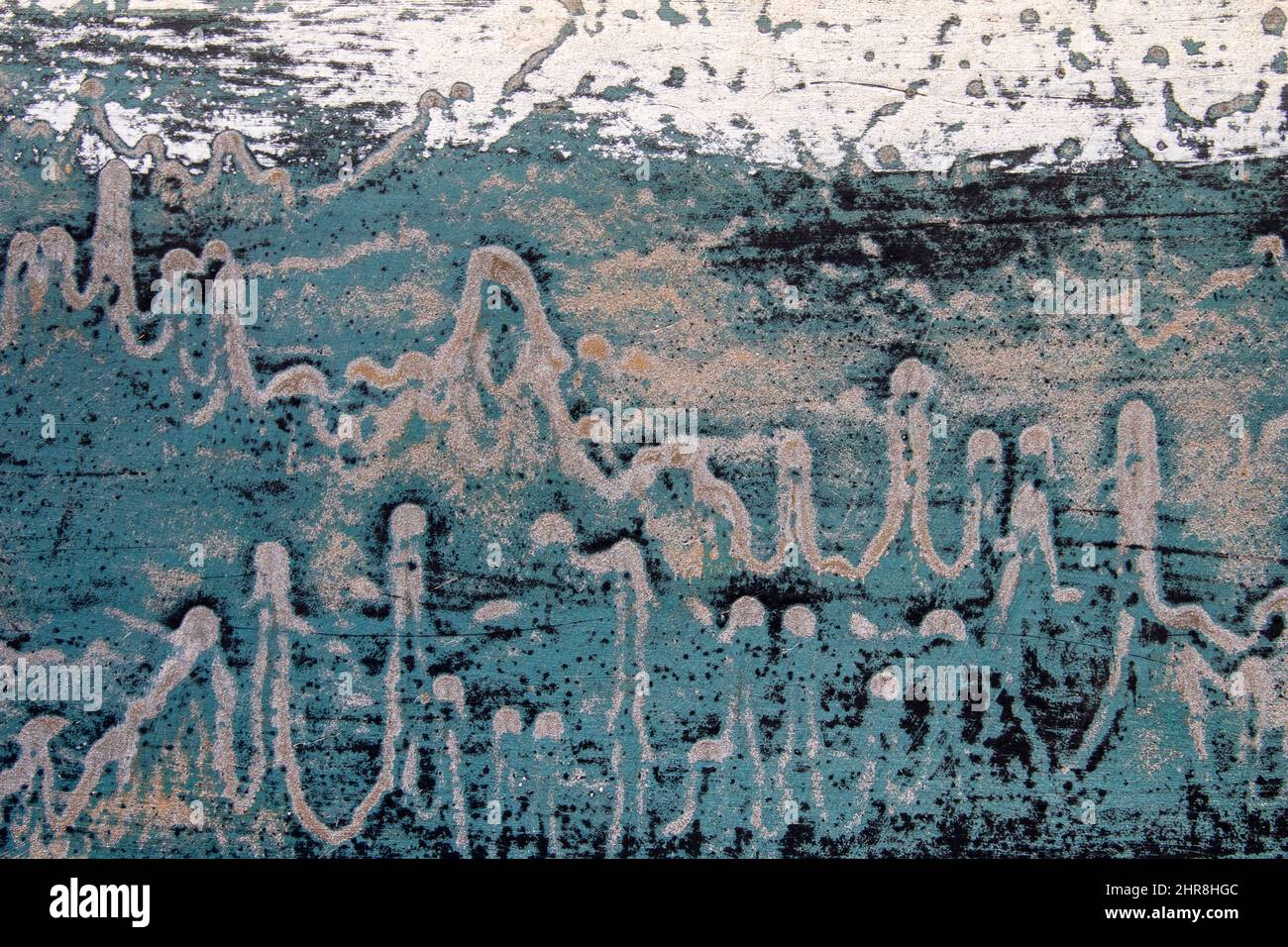 Closeup image showing the textures and colours of peeling paint on the ...