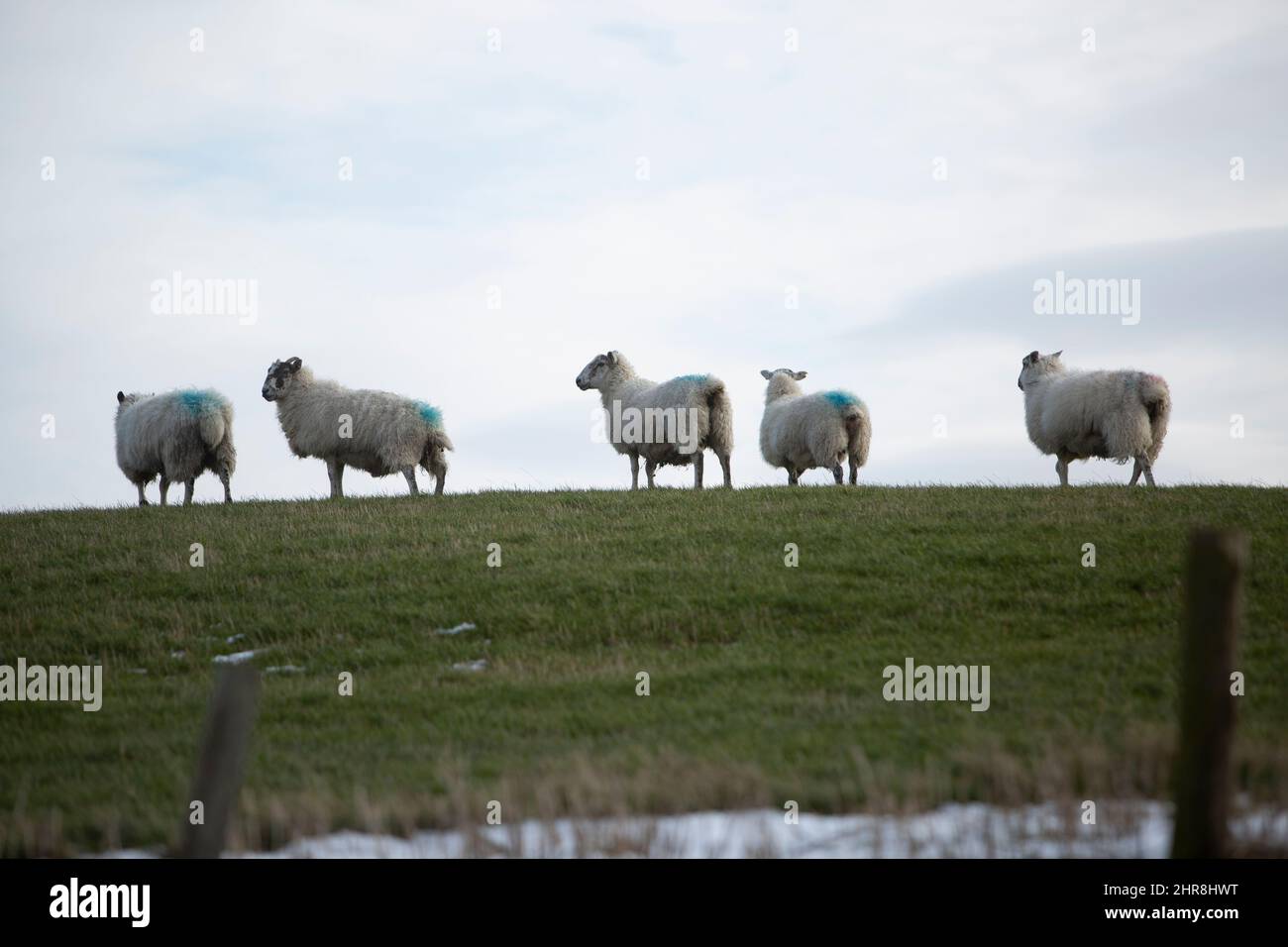 Pentland weather hi-res stock photography and images - Alamy