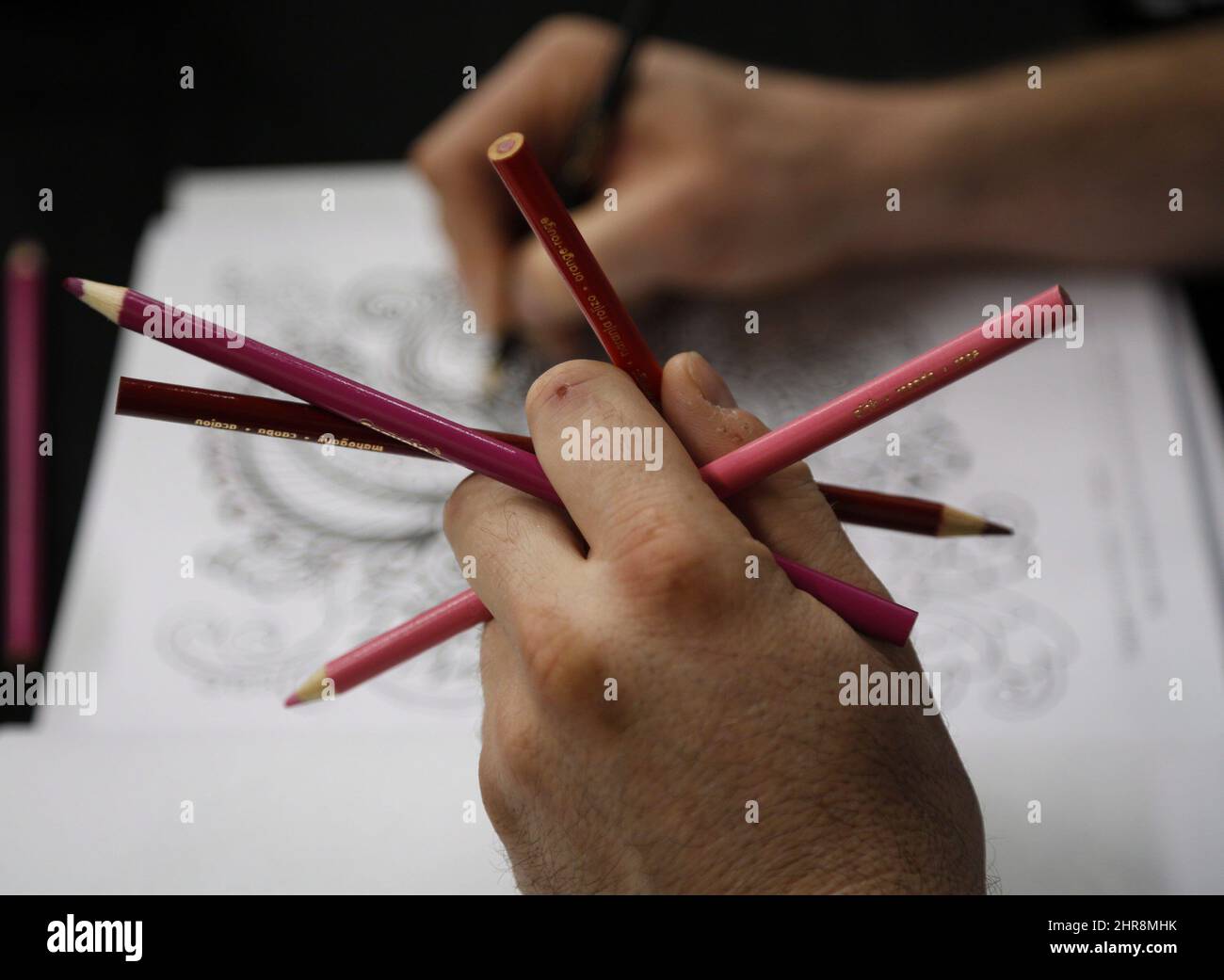 An adult colours in a design by Crystal Salamon, an illustrator and ...