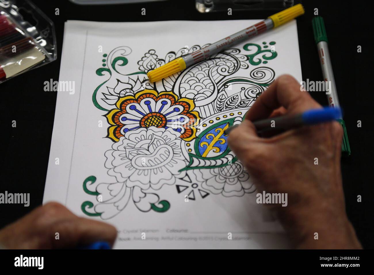 Crystal Salamon, an illustrator and adult colouring book designer ...