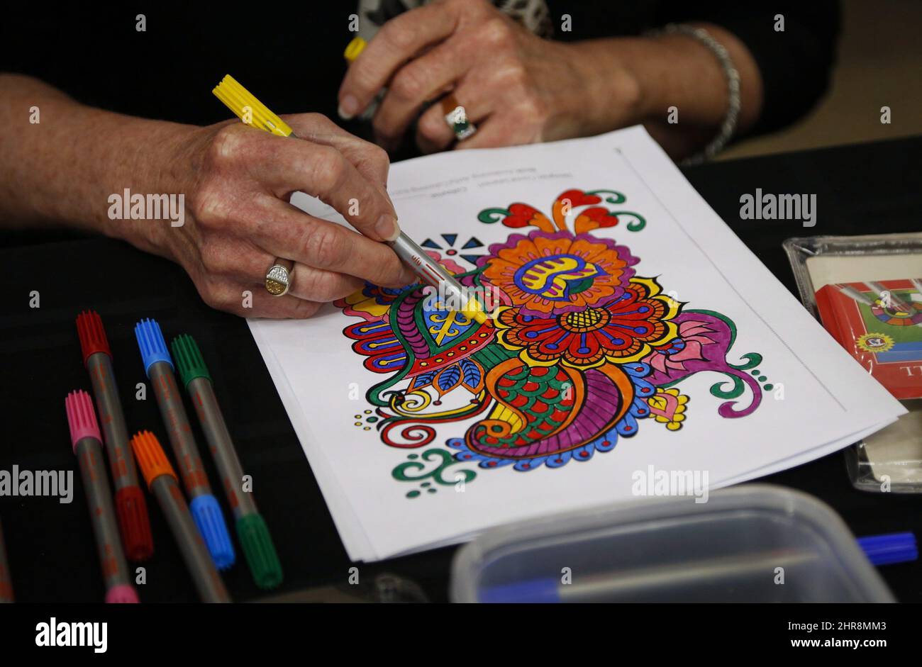 An adult colours in a design by Crystal Salamon, an illustrator and ...