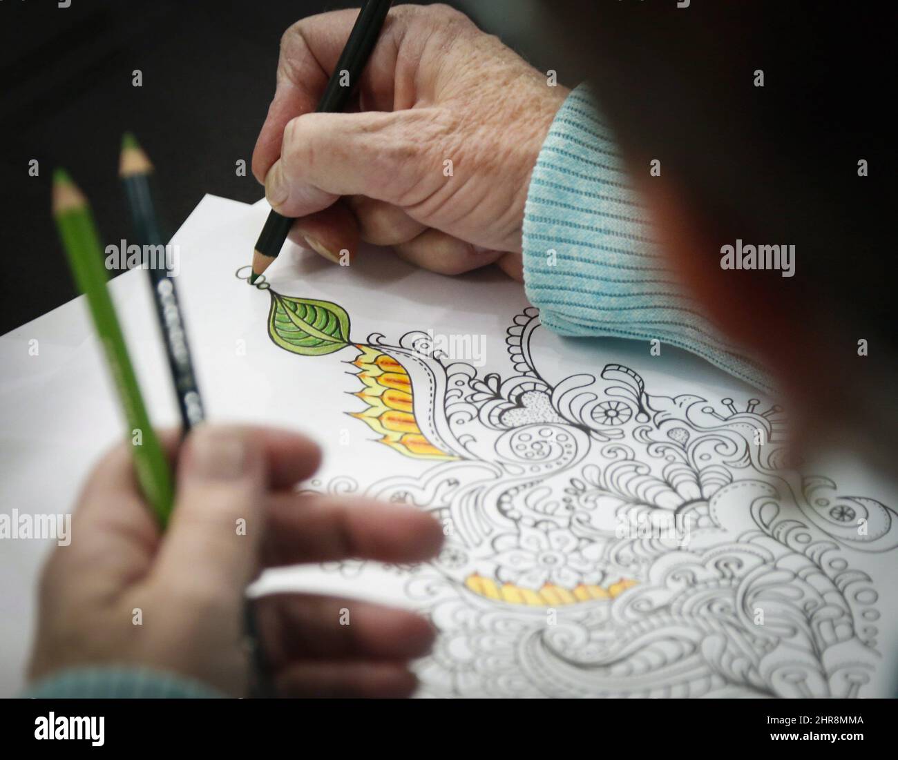 An adult colours in a design by Crystal Salamon, an illustrator and ...