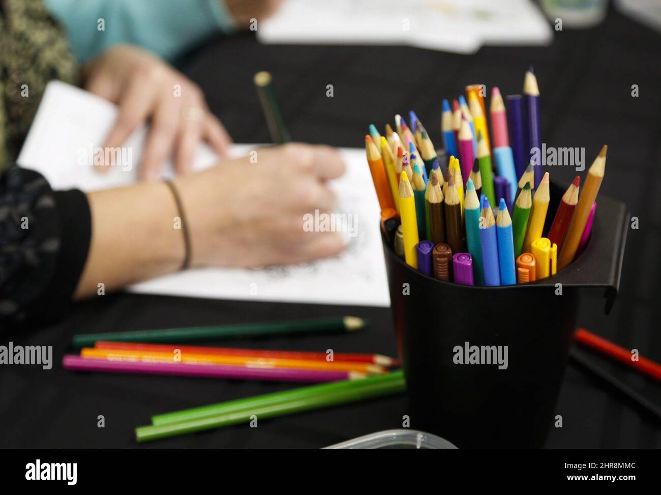 An adult colours in a design by Crystal Salamon, an illustrator and ...