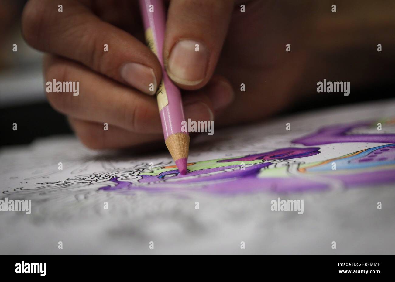 An adult colours in a design by Crystal Salamon, an illustrator and ...