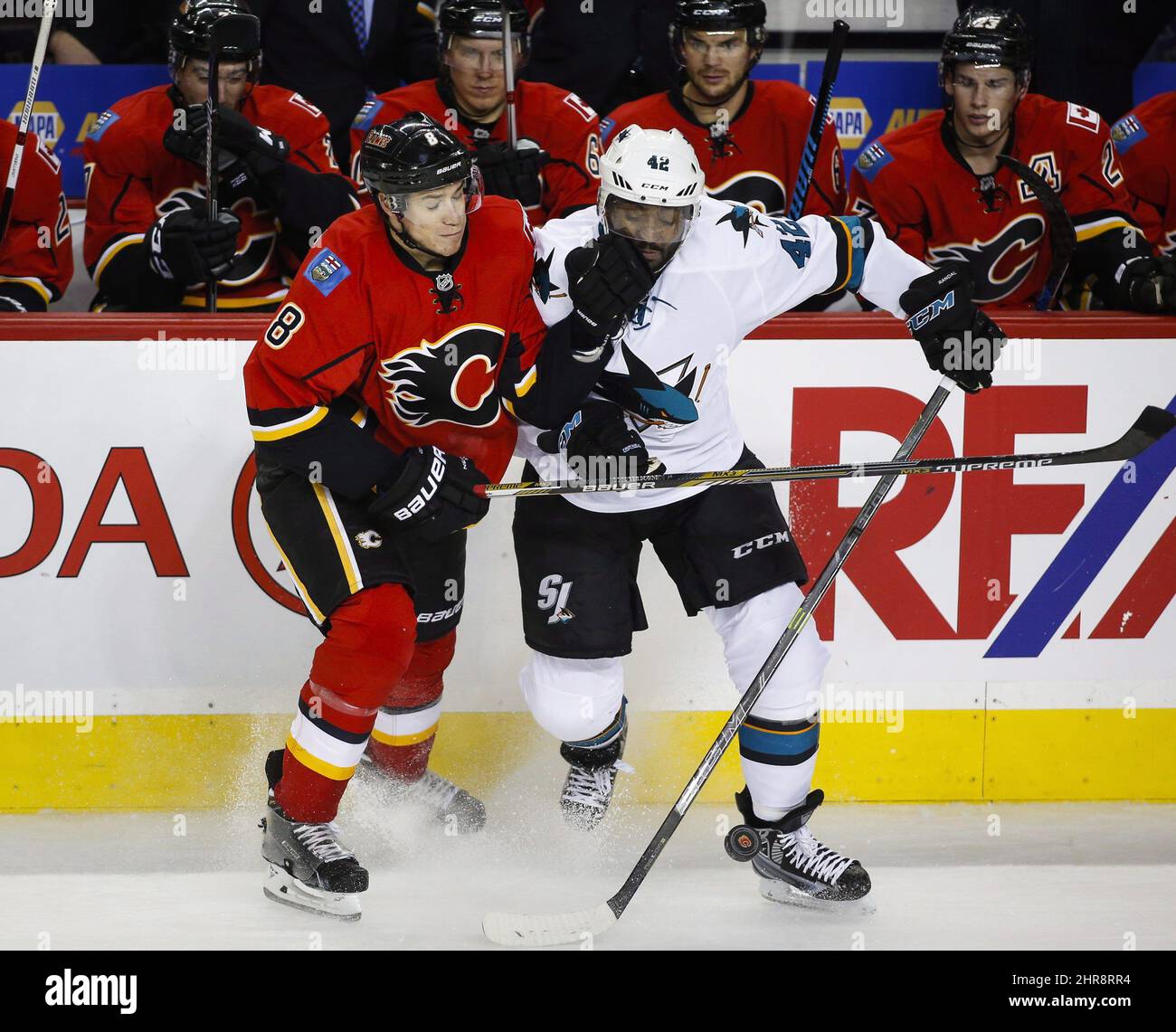 San Jose Sharks' Joel Ward, right, catches a punch from Calgary Flames ...