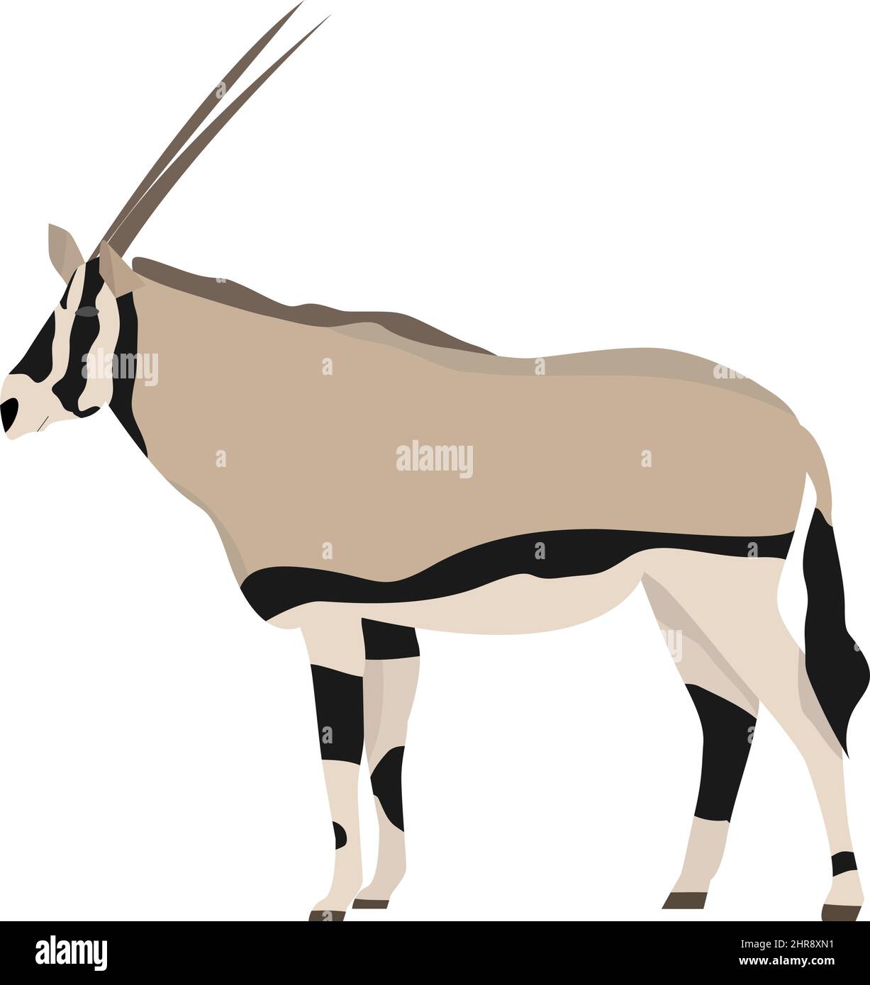 African antelope oryx in flat style isolated on white background Stock ...