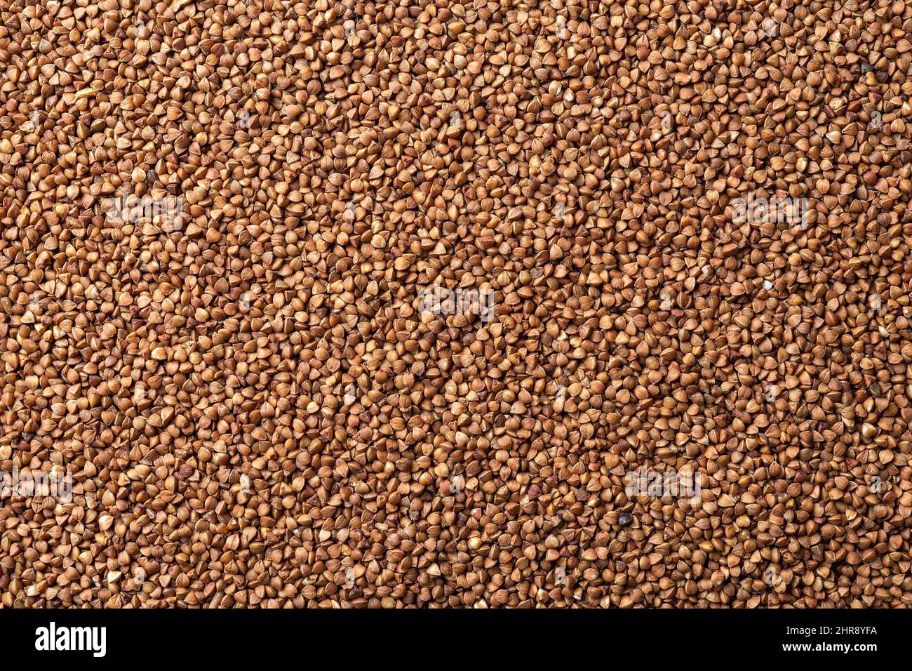 Raw organic buckwheat groats background. Texture of wholegrain dry ...