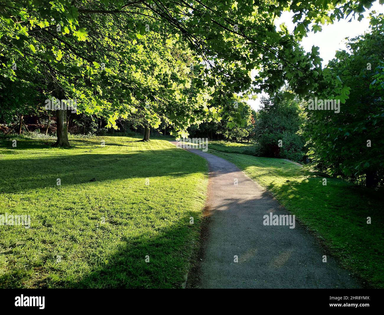 Long walking trail in a bright green park Stock Photo - Alamy