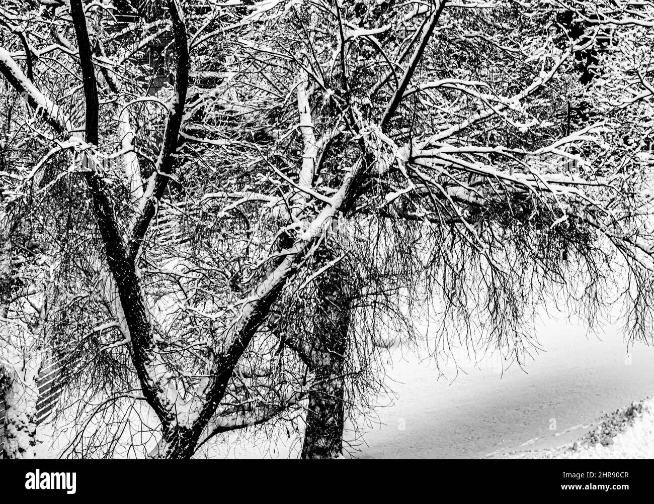 Katri valas park hi-res stock photography and images - Alamy