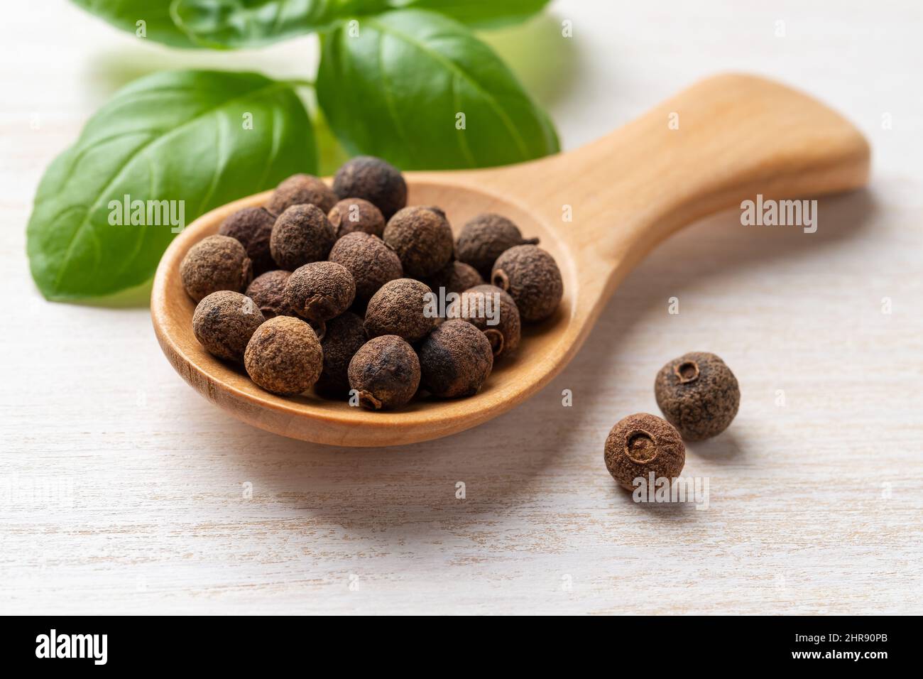 Allspice tree hi-res stock photography and images - Alamy