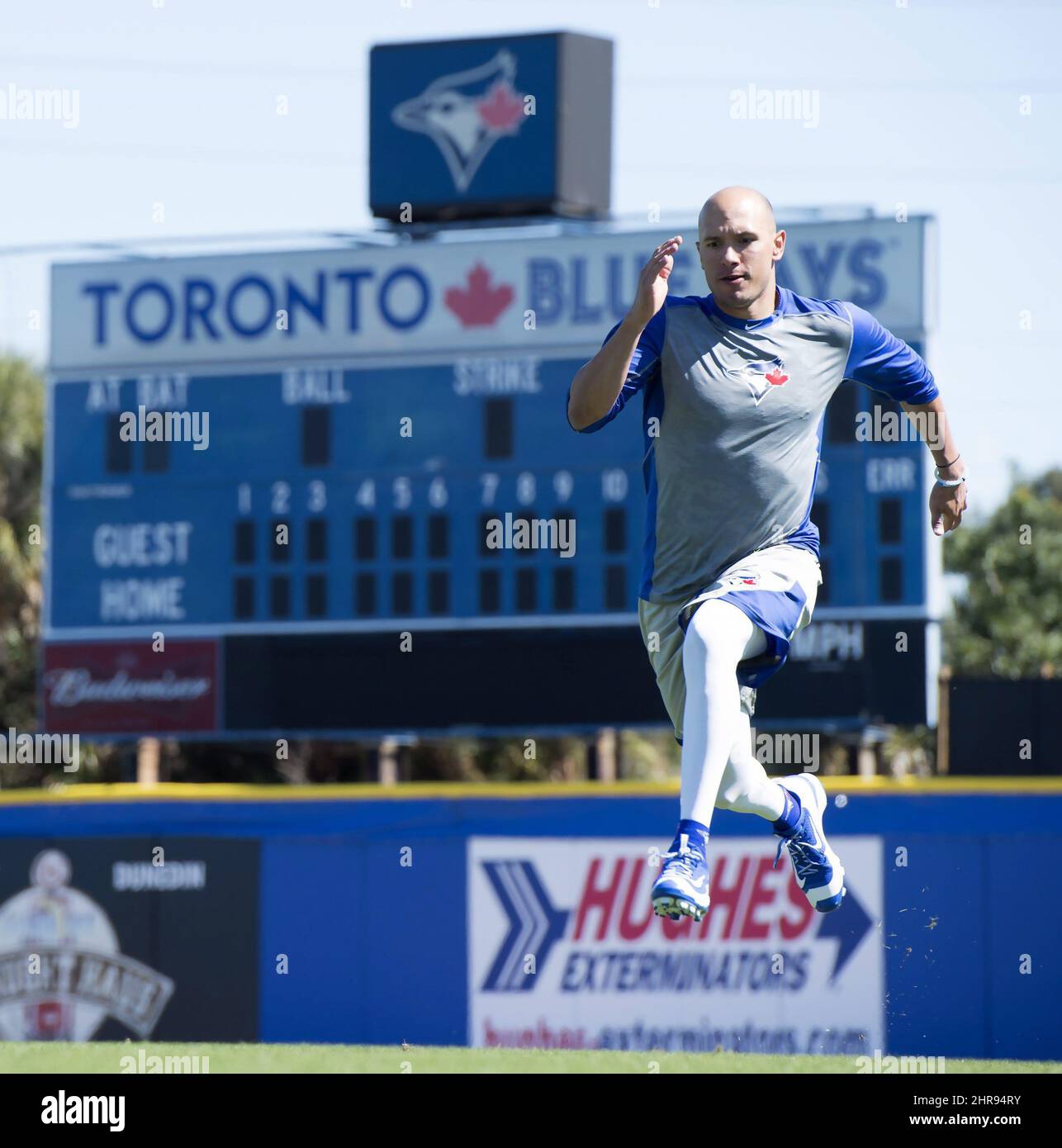 Toronto Blue Jays Ryan Goins works out at the team's Spring Training ...
