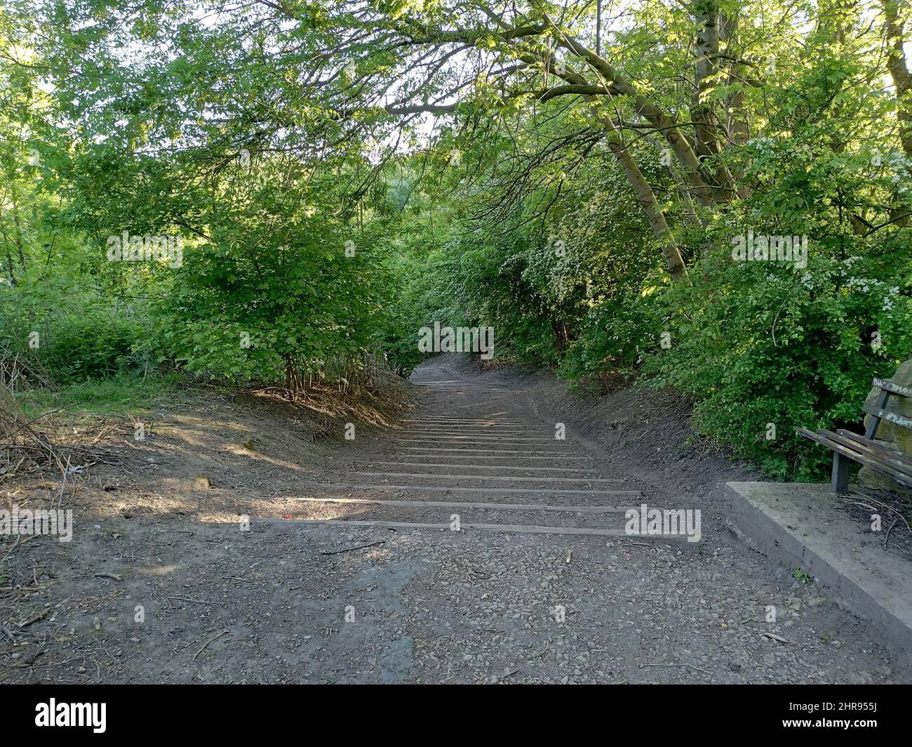 Long walking trail in a bright green park Stock Photo - Alamy