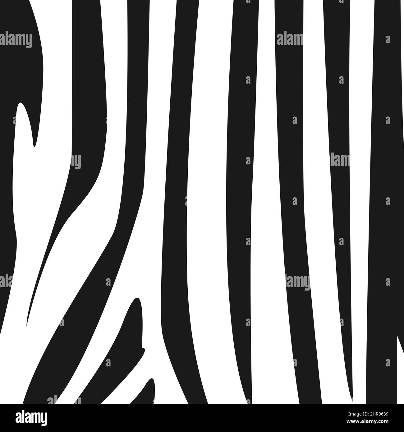 Tiger skin background vector illustration Black and White Stock Photos ...