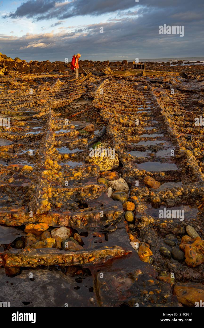 The wreck of SS Falcon, owned by the General Steam Navigation Company ...