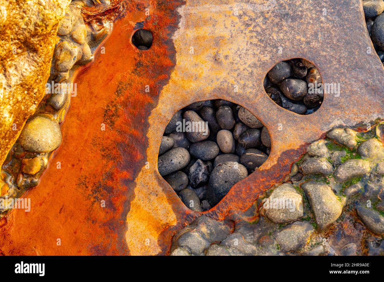 The wreck of SS Falcon, owned by the General Steam Navigation Company ...